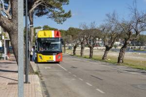 Public Transport in Mallorca | PALMALLORCA