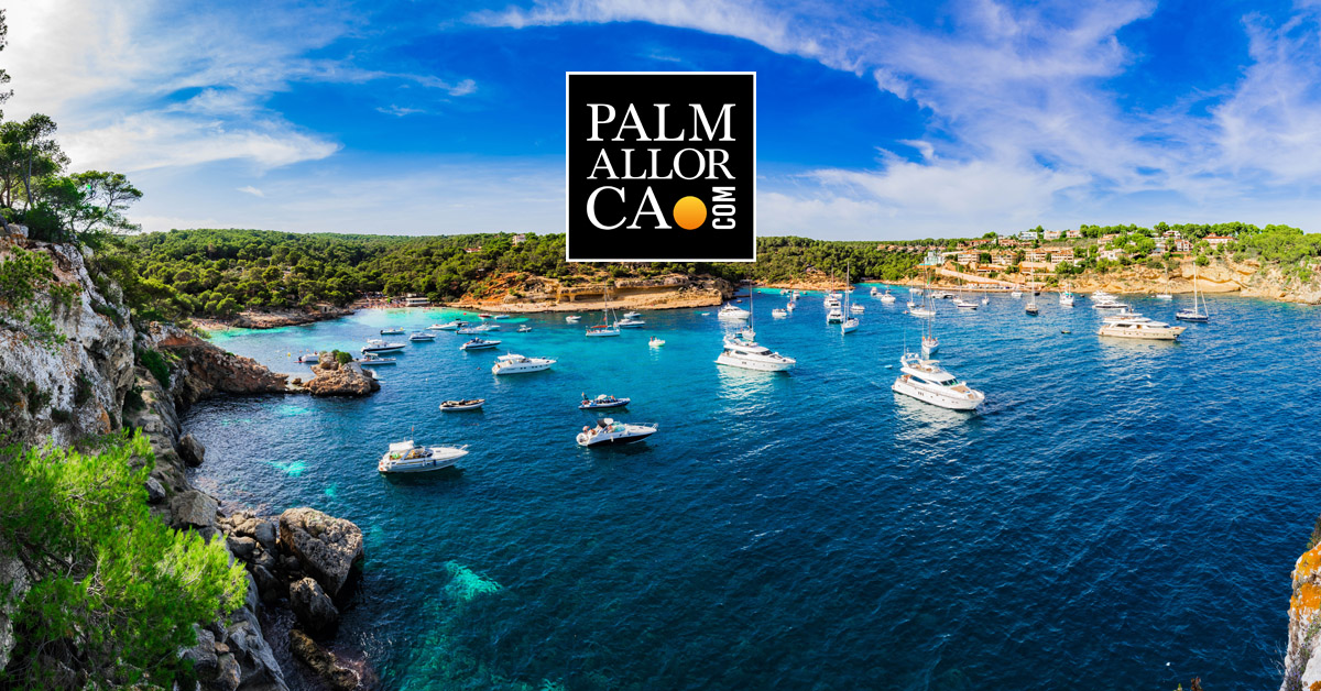 Luxury Yachts and Boats for Charter in Mallorca – Bluebnc | Palmallorca